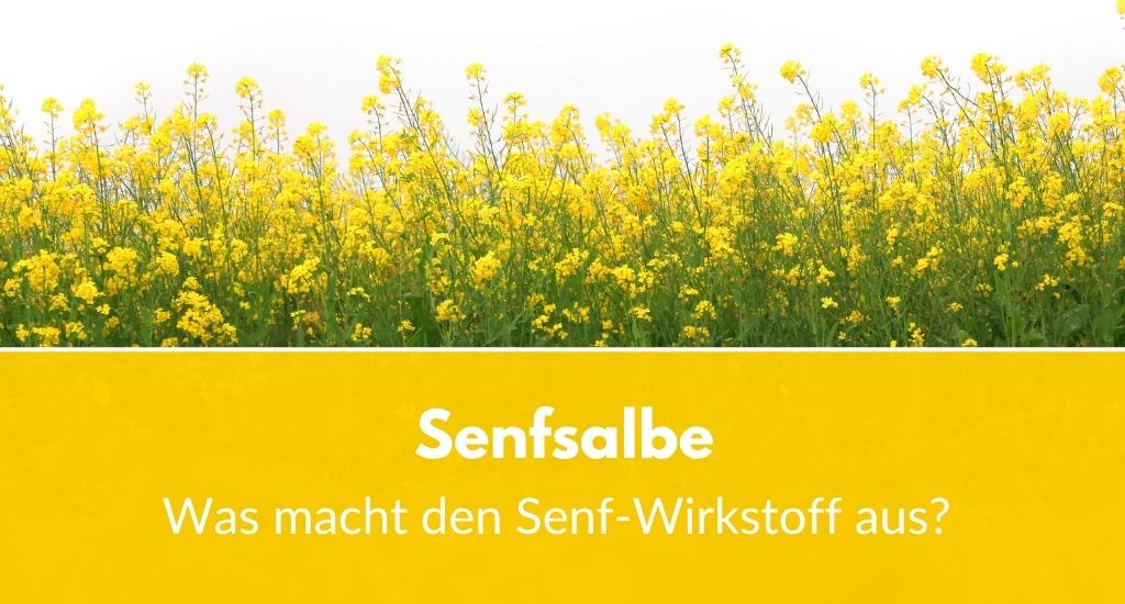 Biovolen® Senfsalbe 200 ml | Jetzt 30 Tage testen